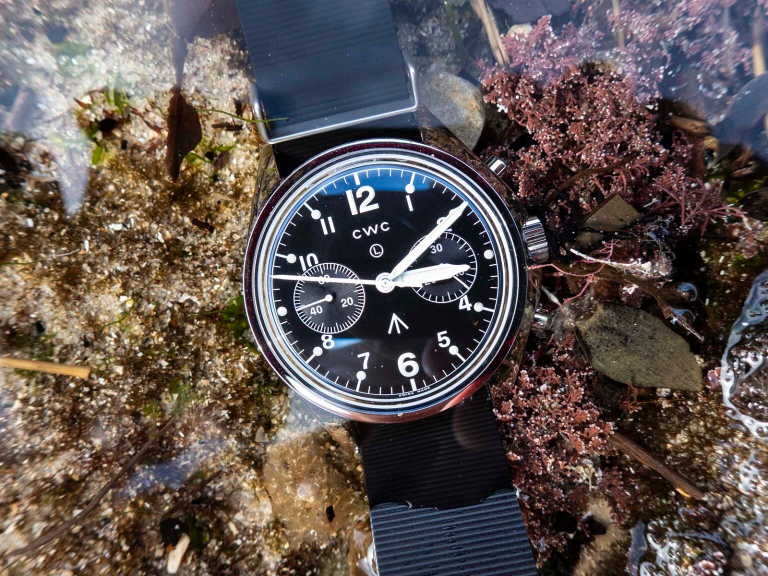 【F】 Hands-On: The CWC 6BB-WR Chronograph