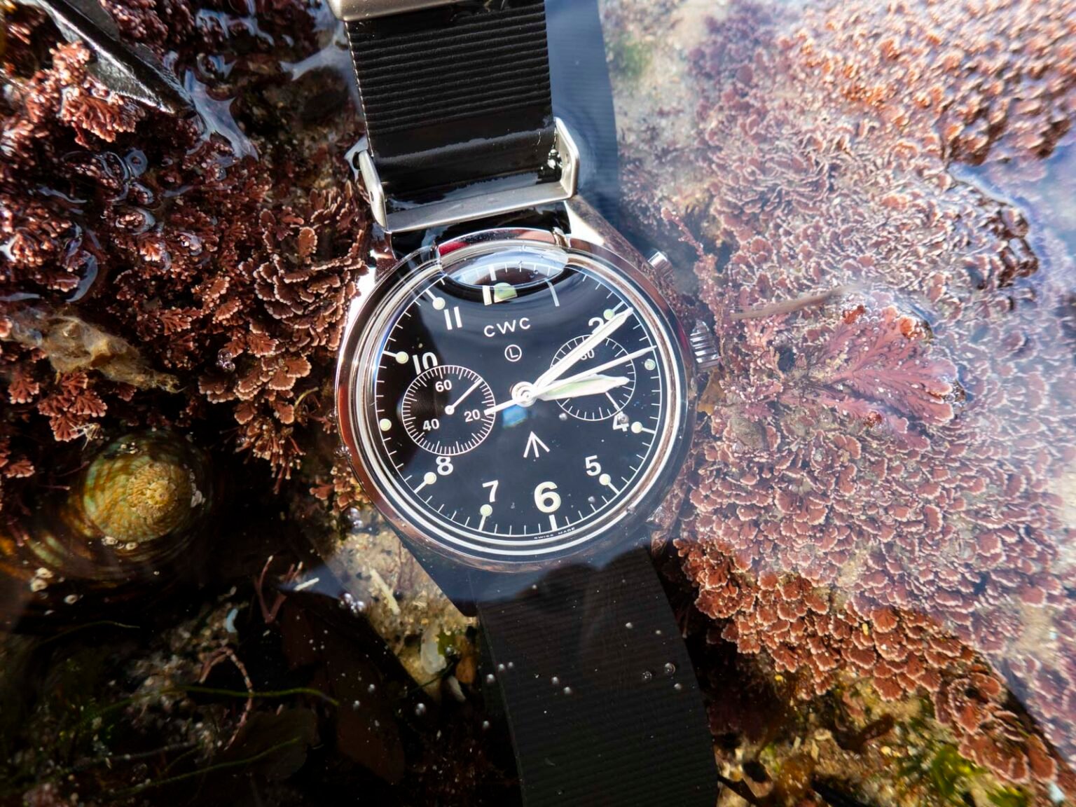 【F】 Hands-On: The CWC 6BB-WR Chronograph